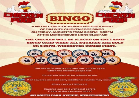 Chicken Poop Bingo | Lions Community Fair, Mercersburg | Visit Franklin ...