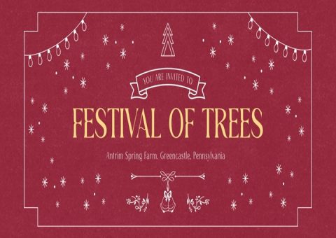 1st Annual Festival of Trees | Antrim Spring Farm, Greencastle | Visit ...